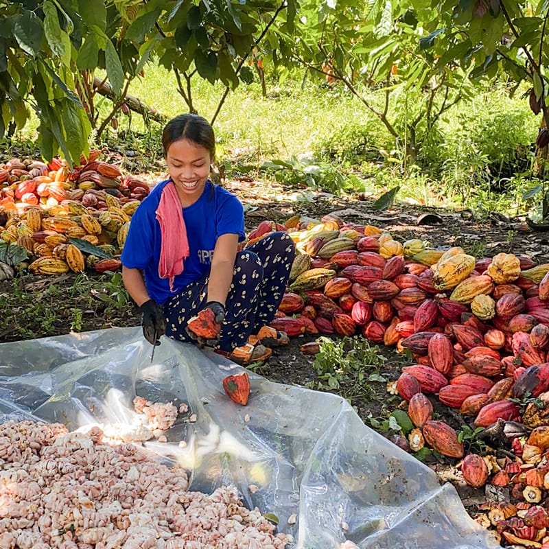 Our Farm – Cacao Culture